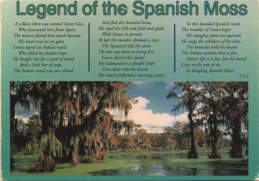 Spanish Moss: Legendary Legends – Blogsy Babbles