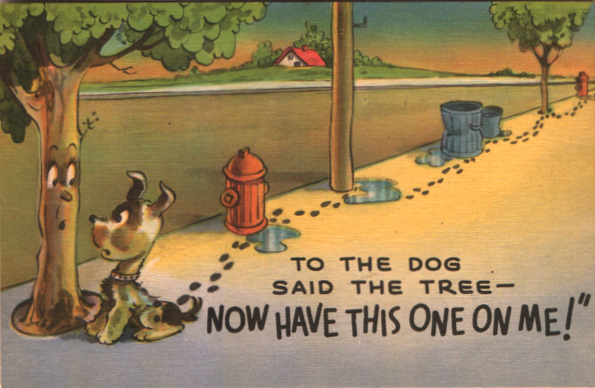 Comedy Archaeology Quiz – Blogsy Babbles